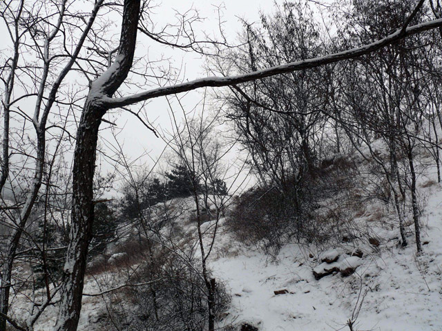 Qingdao Photos: Morning Snow on Xiao Zhu Shan | Qingdao China | QINGDAO ...